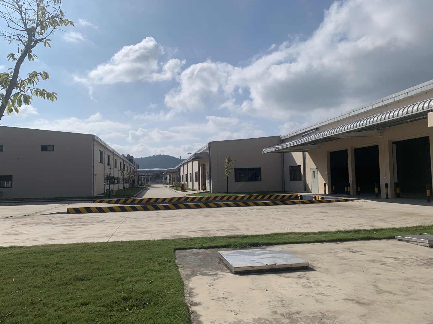 GLVについて | GREAT LONGVIEW